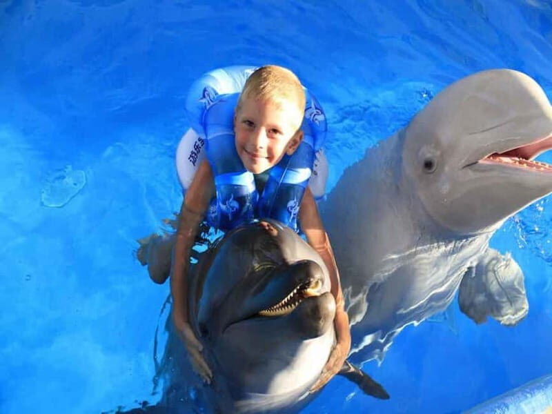 Side/Alanya: Swimming with Dolphins and Dolphin Show - Key Points