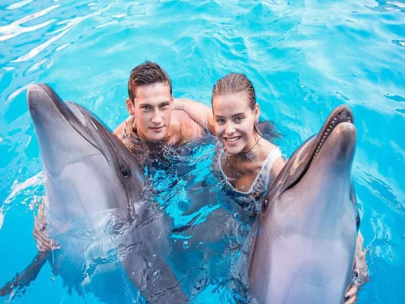 Side/Alanya: Swimming with Dolphins and Dolphin Show - Who Should Consider This Tour?