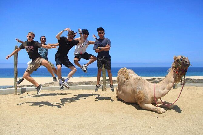 Side by Side and Camel COMBO Adventure - Who Will Love This Tour?