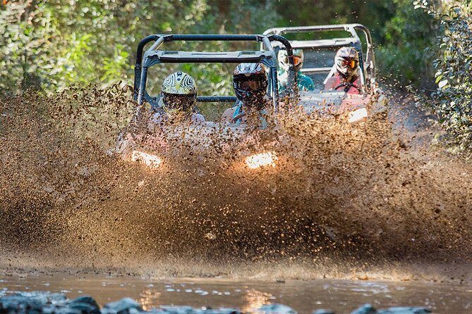 Side-by-Side Off-Roading Adventures on Cougar Mountain - Who Is This Tour Best For?