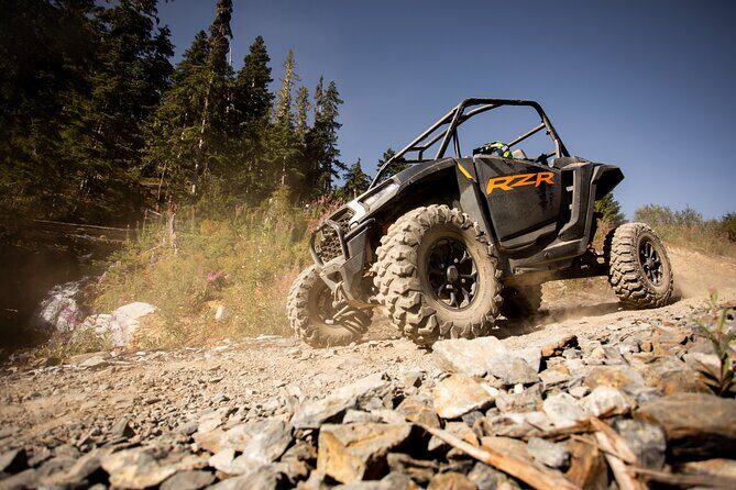 Side-by-Side Off-Roading Adventures on Cougar Mountain - The Sum Up