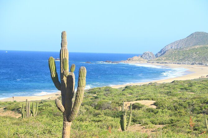 Side by Side Sport Adventure - The Authentic Experience: What Travelers Say