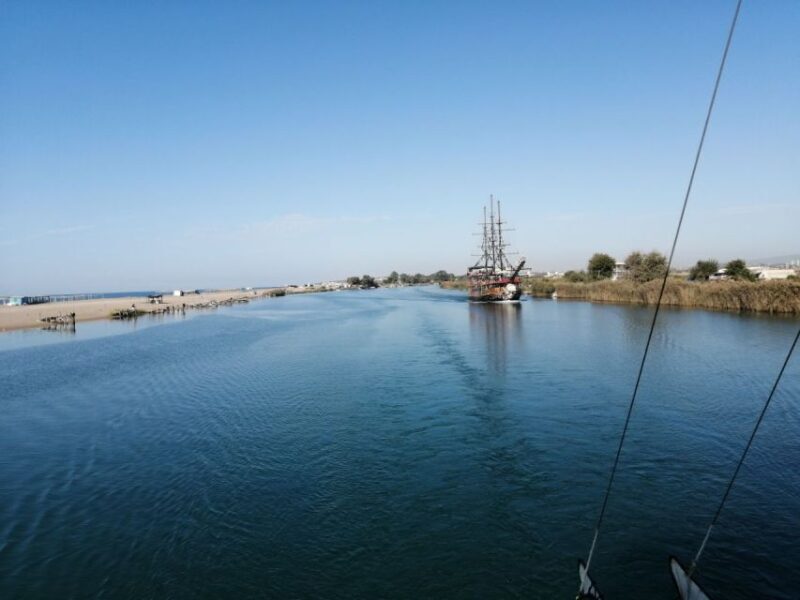 Side: Dolphin Island Boat Tour w/ Lunch & Foam Party - The Sum Up: Who Will Love This Tour?