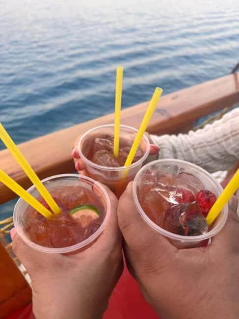 Side Dolphin Island Boat Trip with Lunch & Swim Stops - The Route and Stops