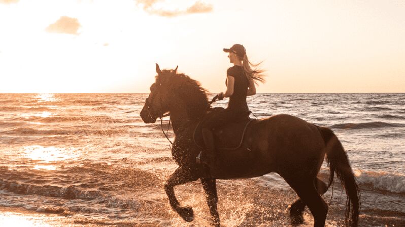 Side: Horseback Riding Tour in Nature - Key Points
