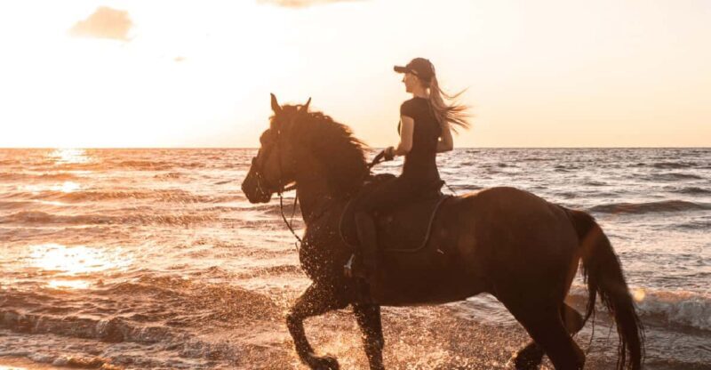Side: Horseback Riding Tour in Nature - An Authentic Riding Experience in Side: What to Expect