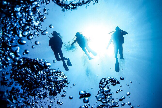 Side Scuba Diving for Beginners with Lunch and Transfers - Who Would Love This Experience?