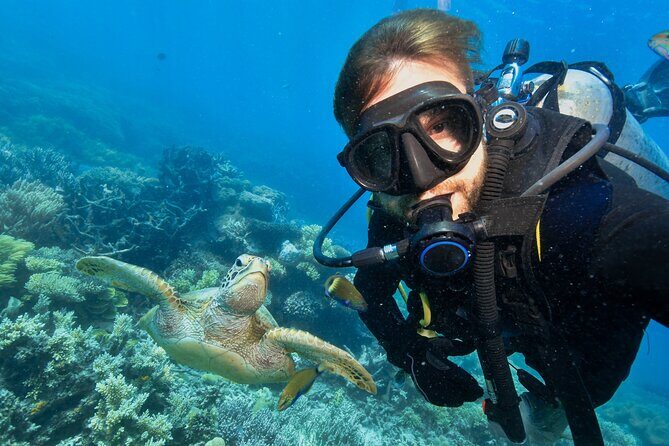 Side Scuba Diving for Beginners with Lunch and Transfers - The Sum Up