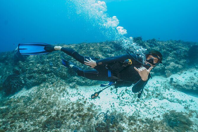 Side Scuba Diving for Beginners with Lunch and Transfers - Frequently Asked Questions