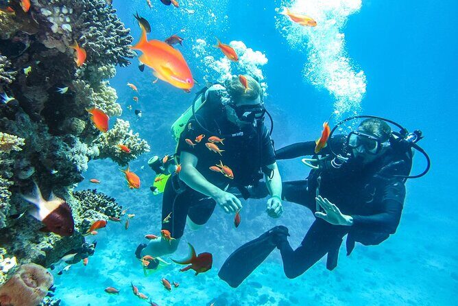 "Side: Scuba Diving in the Fascinating Underwater Museum" - Practical Tips for Participants