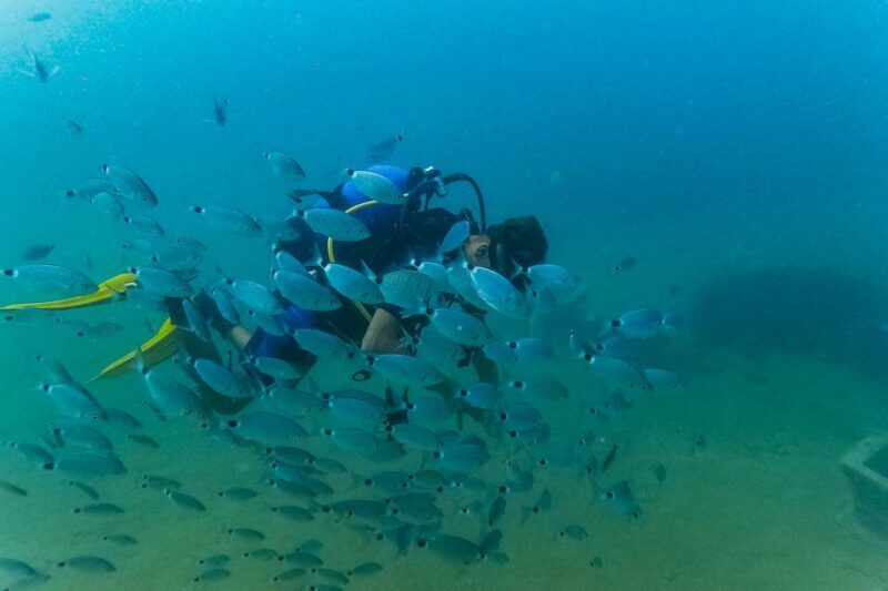 Side: Scuba Diving, Underwater Museum, 2 Dives incl. Lunch - The Value Proposition