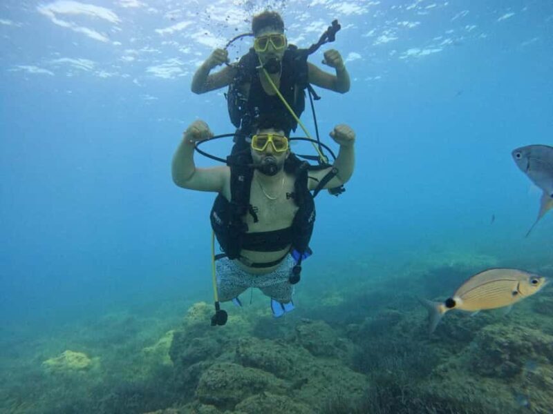 Side: Scuba Diving with Expert Diving Option - Final Thoughts: Is This Tour Right for You?
