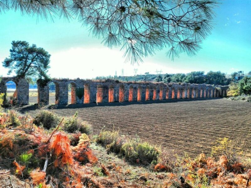 Side:Green Lake Mix Tour - A Day of Nature History & Culture - Final Thoughts