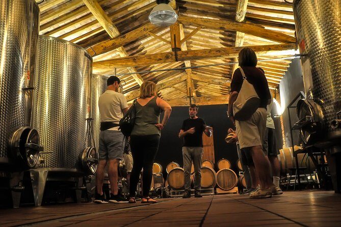 Siena: A Wine Tour and Tasting Experience - Why This Tour Stands Out