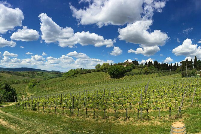 Siena: A Wine Tour and Tasting Experience - Frequently Asked Questions