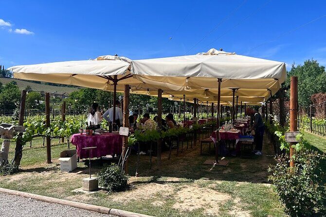 Siena and San Gimignano from Rome: Private Wine Tour in Tuscany - Who Would Love This Tour