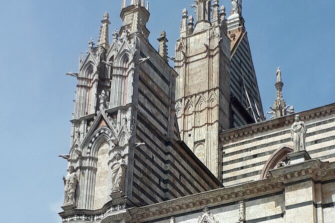 Siena Cathedral: shrine of treasures. - The Sum Up: Why This Tour Is a Great Choice