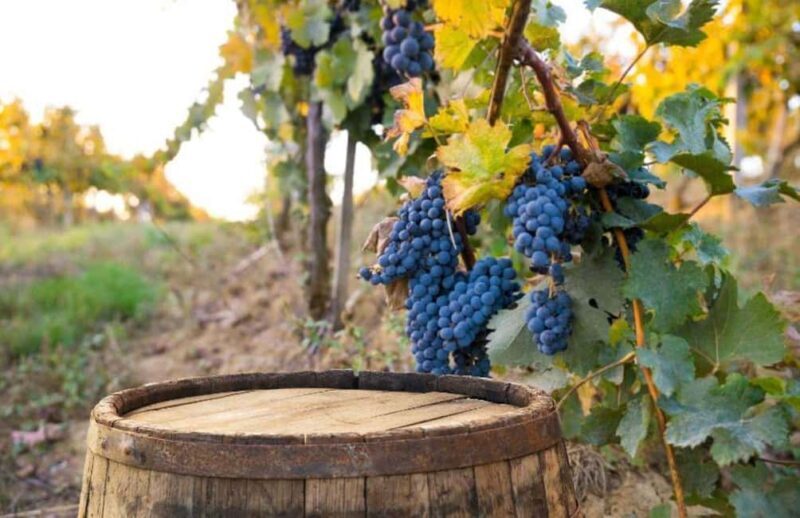 Siena: Chianti Wine Tour with Tastings Small Group - Authentic Villages & Scenic Photos