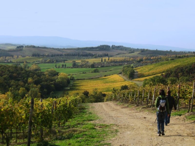 Siena: Half-day Guided Hike to Monteriggioni - Key Points