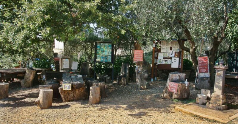 Siena: Half-day Guided Hike to Monteriggioni - Final Words