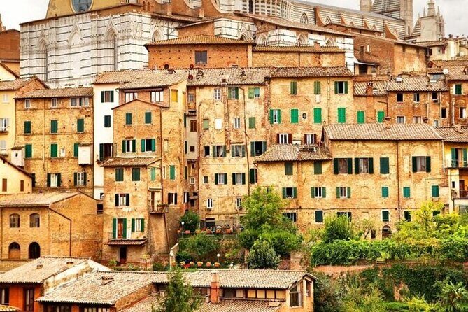 Siena Highlights Private Walking Tour With A Guide (Private Tour) - Final Thoughts