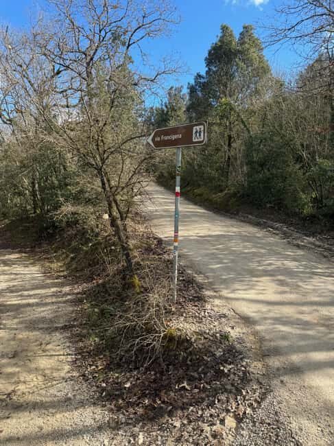 Siena: Horseback Riding on the Via Francigena - Who This Experience Suits Best