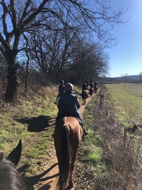 Siena: Horseback Riding on the Via Francigena - Key Points