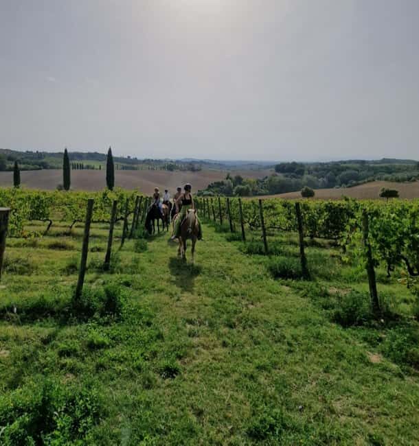 Siena: Horseback Riding Tour in the Tuscany Countryside - Key Points