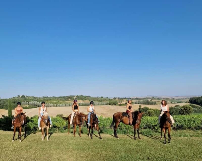 Siena: Horseback Riding Tour in the Tuscany Countryside - The Horses and Guides: Making It Comfortable for All