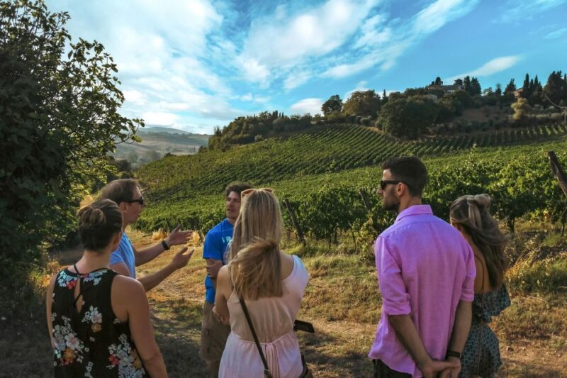 Siena: Organic Winery Tour and Wine Tasting - The Afternoon Meal: A True Tuscan Feast