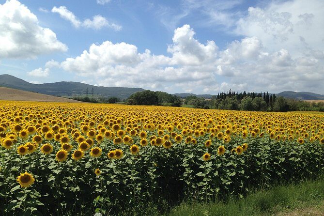 Siena, San Gimignano and Pisa from Lucca - Practical Tips for Travelers