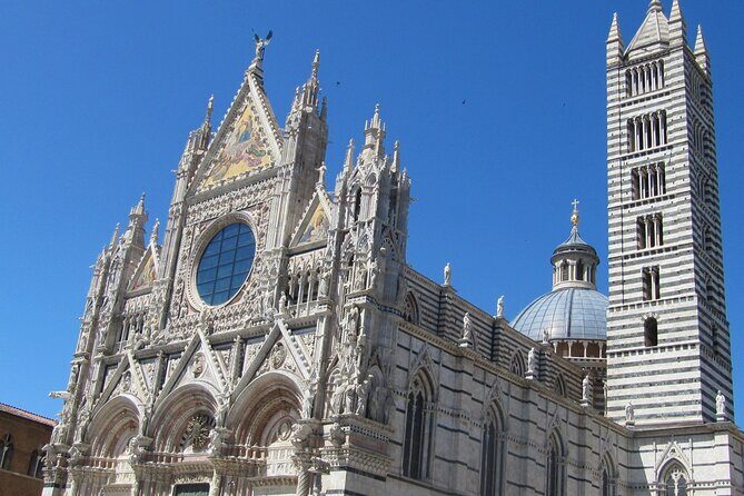 Siena Scavenger Hunt and Highlights Self Guided Audio Tour - Key Points