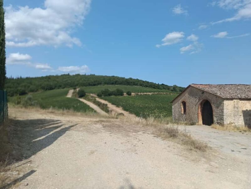 Siena: Small-group Cooking Class in a Chianti Farm - Value and Practicalities  