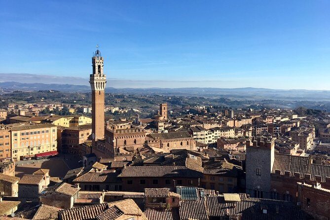 Siena Tour and exclusive window on Piazza del Campo - Final Thoughts: Who Should Book This Tour?