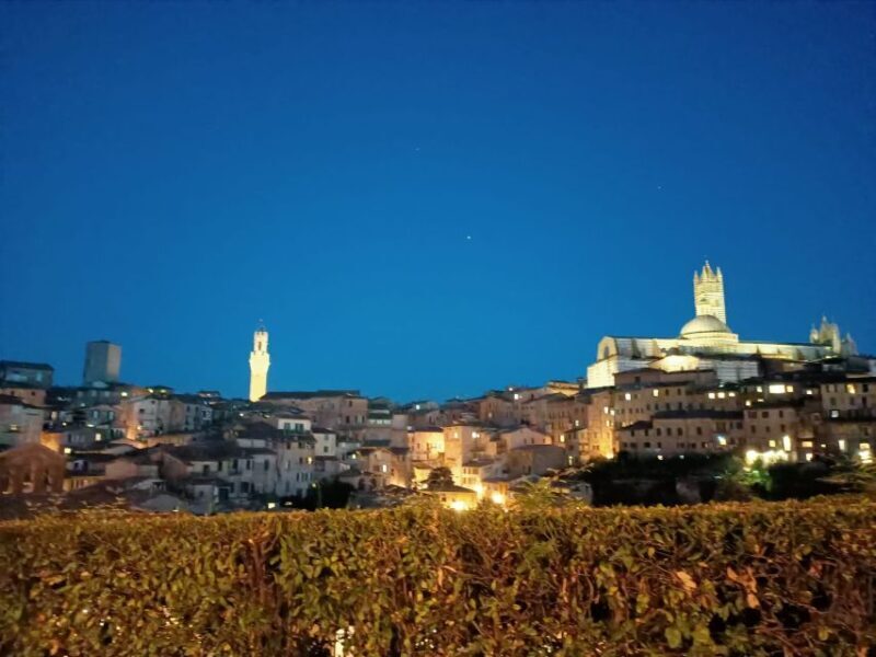 Siena Underground Wine tasting in a Medieval Cave - The Experience in Detail