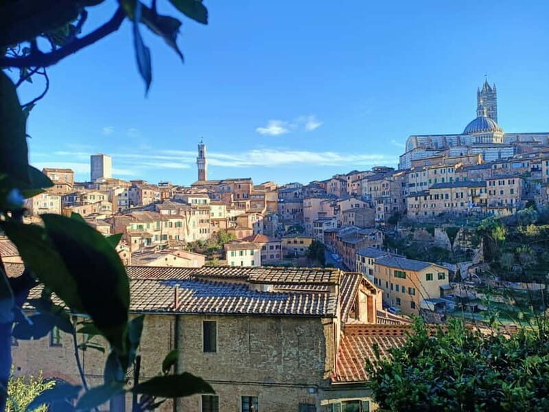 Siena walking tour with lunch & Chianti wine - FAQ