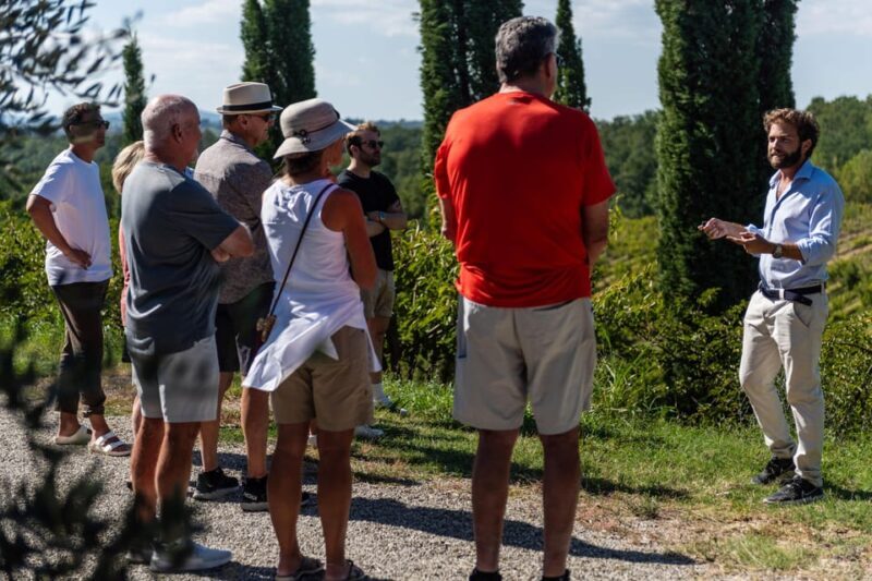 Siena: Winery tour/tasting with owner/maker of awarded wines - Practical Details and Tips for Visitors