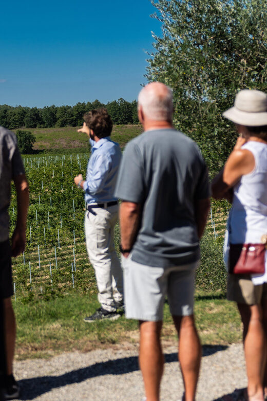 Siena: Winery tour/tasting with owner/maker of awarded wines - FAQ