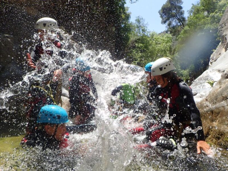 Sierra de las Nieves: Zarzalones Canyoning For Rappel Lovers - What to Expect from the Zarzalones Canyoning Tour