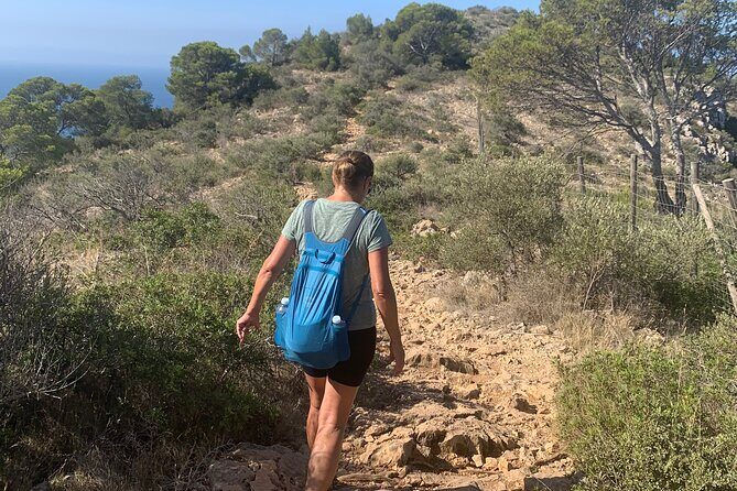 Sierra de Tramuntana hike with small picnic - The Sum Up
