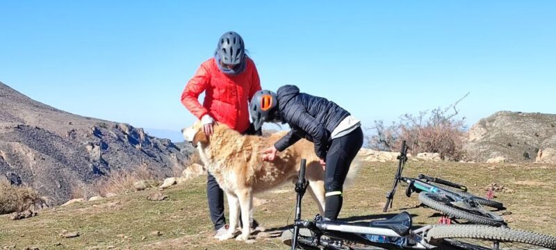 Sierra Nevada Small Group E-Bike Tour - Who Should Consider This Tour?