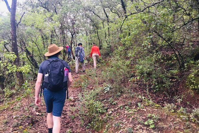 Sierra Norte 1 Day Guided Hiking - Key Points
