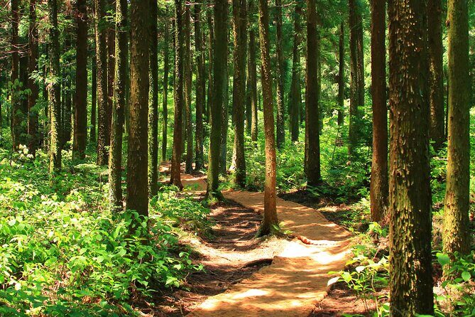 Sierra Norte 1 Day Guided Hiking - What the Reviews Tell Us