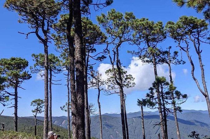 Sierra Norte 1 Day Guided Hiking - Who Should Consider This Tour?