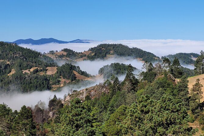 Sierra Norte Hike and Indigenous Village Full-Day Adventure - Key Points