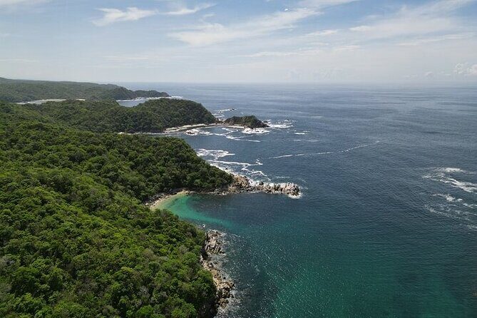 Sighting DE Marine Mammals and Snorkeling - Key Points