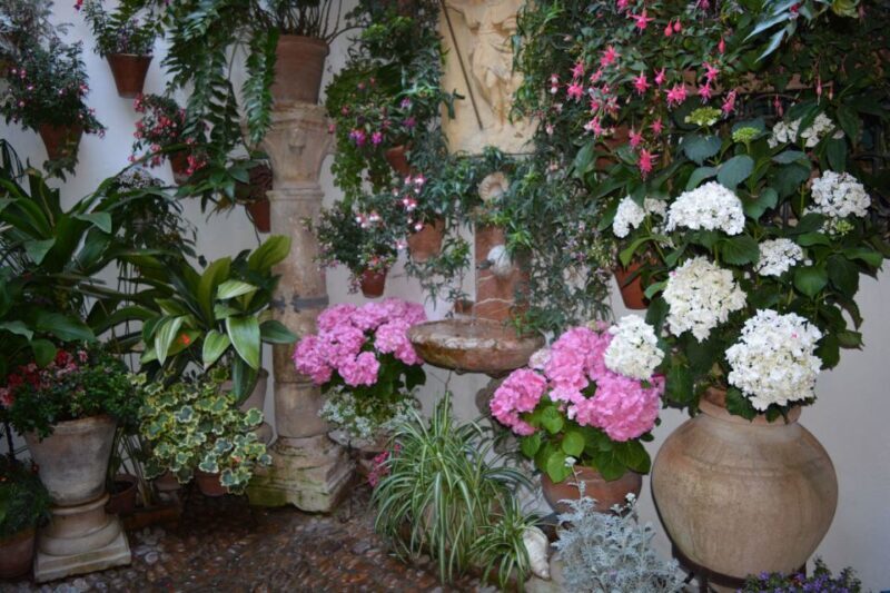 Sights, Sounds, and Scents of Córdoba's Patios - Final Thoughts