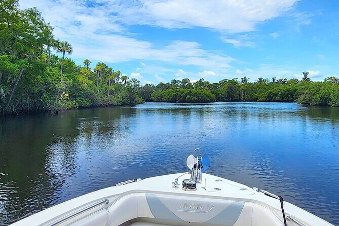 Sightseeing Cruise/Narrated Tour - Private 4 Hour - The value aspect: Is it worth the cost?