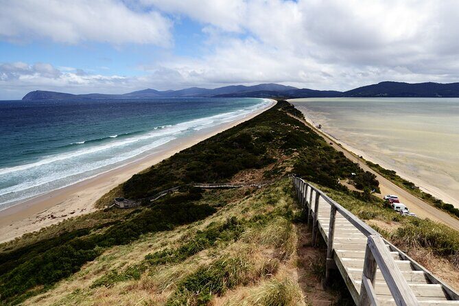 Signature Bruny Island Tour - Hobart & SE Tasmania - Who Should Book This Tour?
