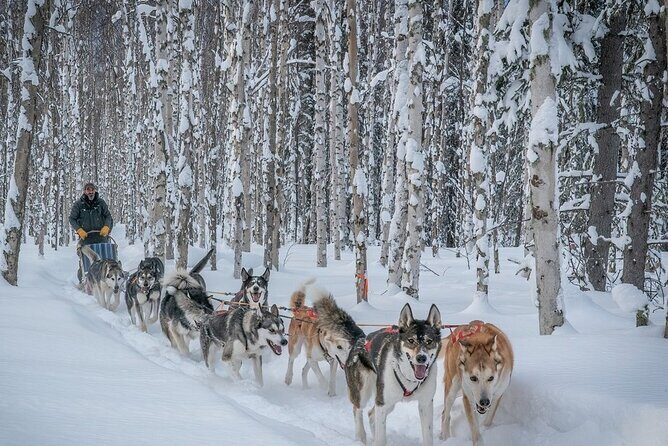 Signature Ridge Top Mush - An In-Depth Look at the Signature Ridge Top Mush Experience